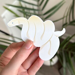 Burmese Python Stickers 6 Morphs Wild, Albino, Granite, Albino Granite, Green, and Ivory - Etsy