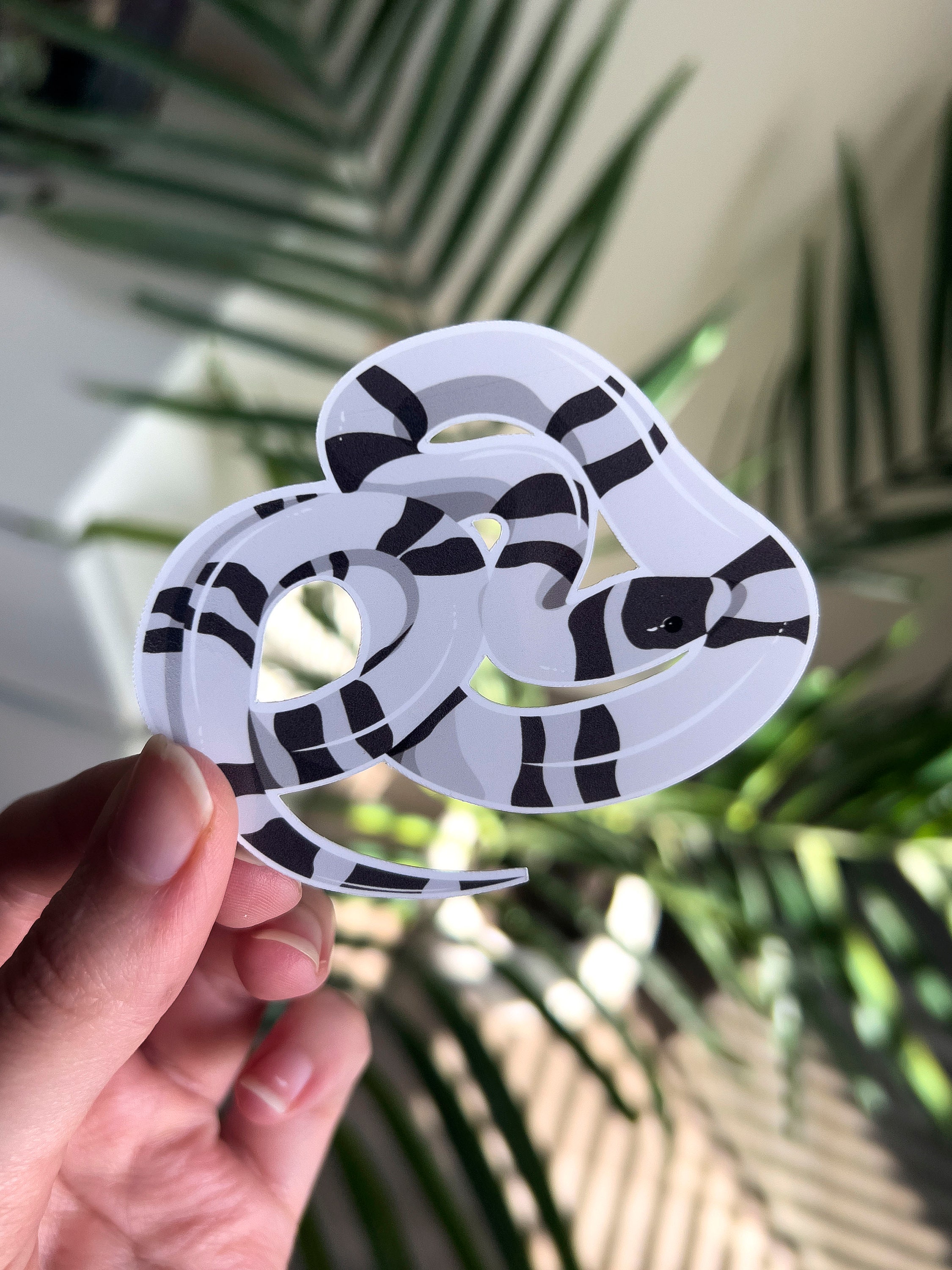 Milk Snake Stickers 6 Morphs Normal Albino Anery - Etsy