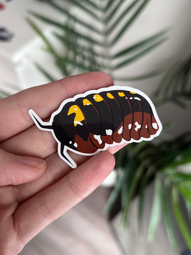 Isopod Stickers 9 Colors Clowns Dwarf White Wild Type - Etsy