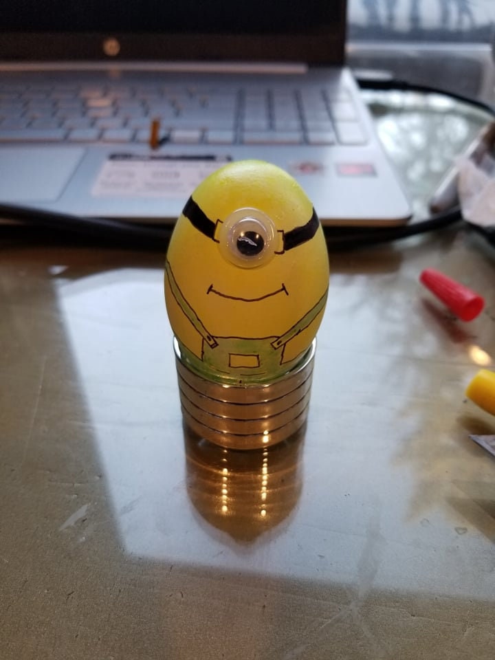 10 Day Egg Baby Project - Etsy