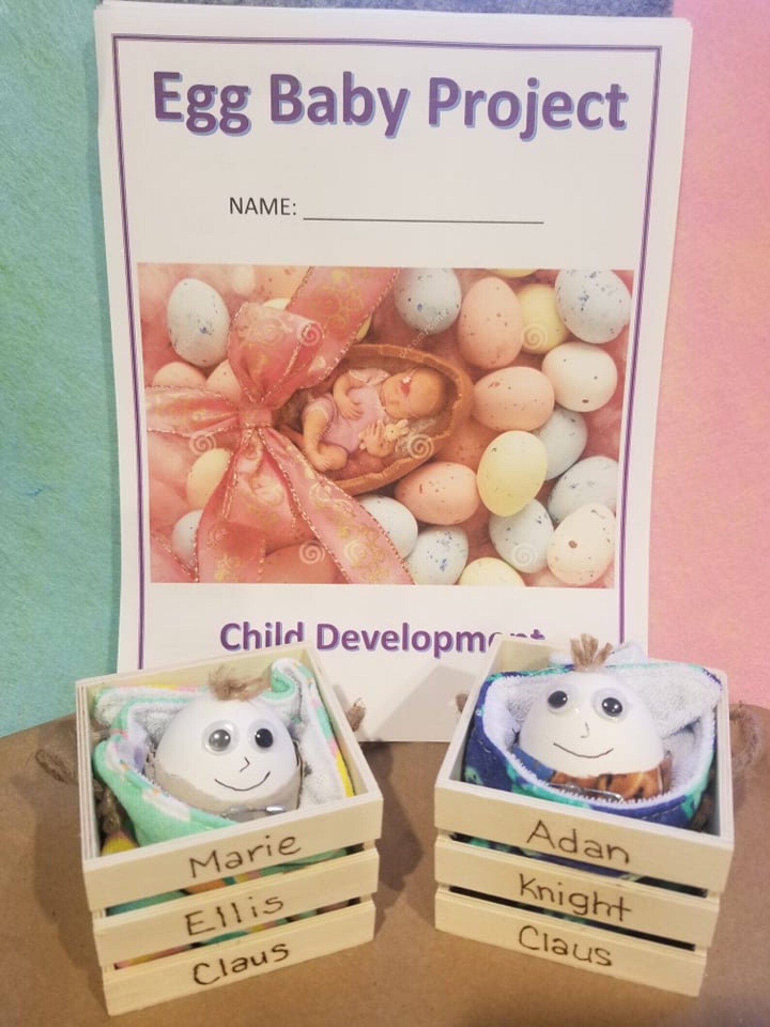 10 Day Egg Baby Project - Etsy