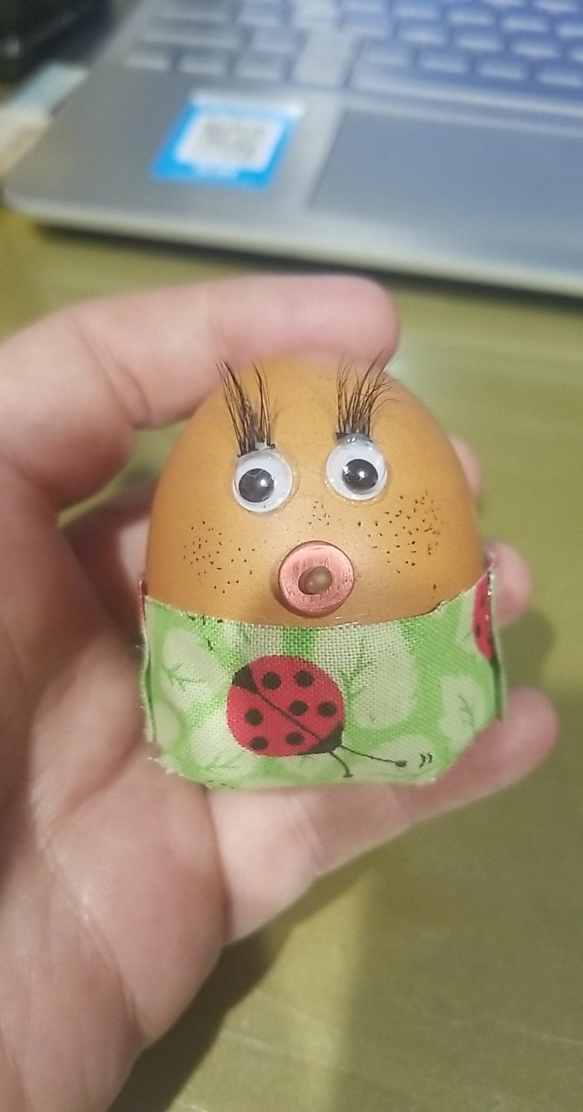 10 Day Egg Baby Project - Etsy