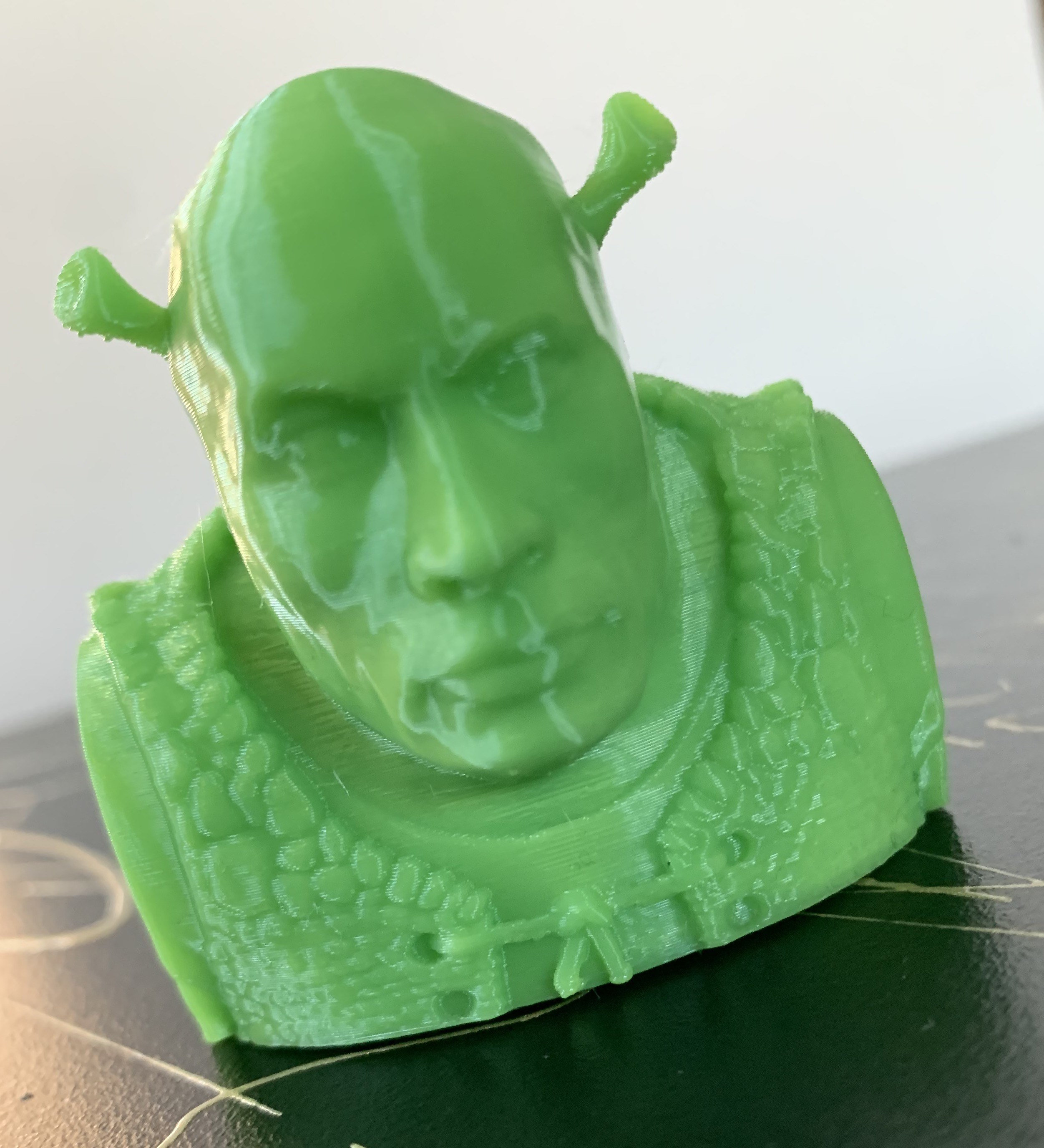 The Shrock Dwayne the rock johnson shreck | Etsy