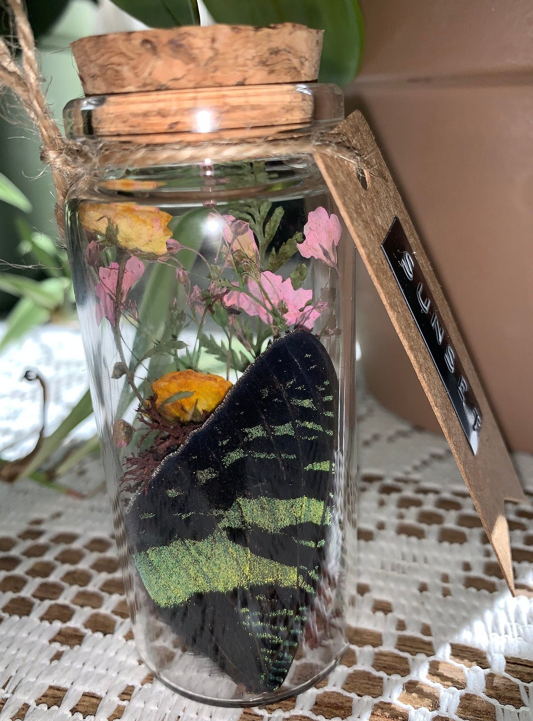 Sunset Moth Forewing Vial - Etsy