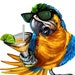 Tropical Drinking Parrot Decal, Full Color Parrot With a Drink Decal ...
