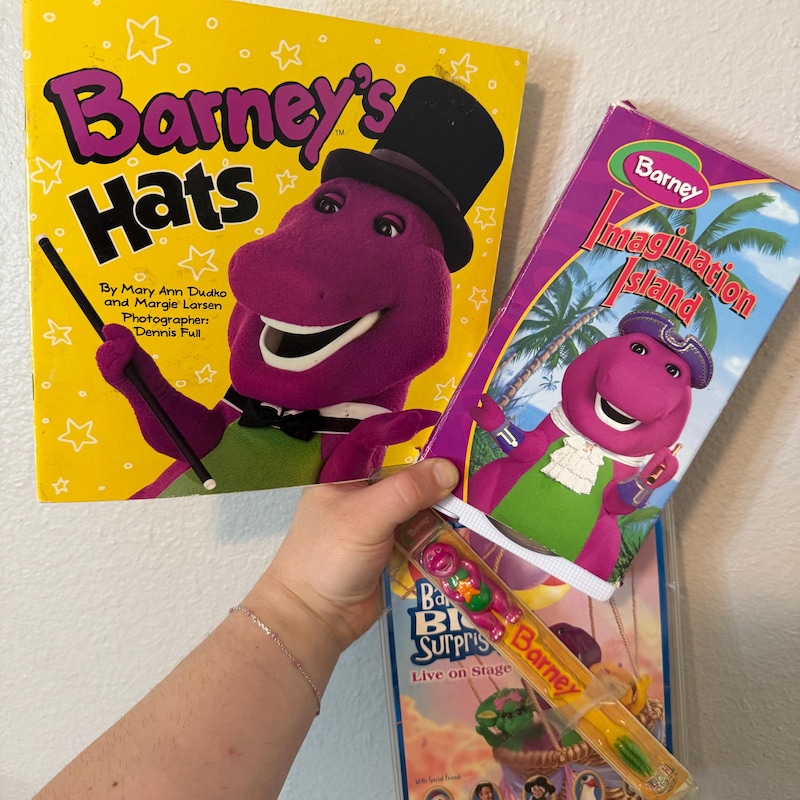 Barney Books - Etsy