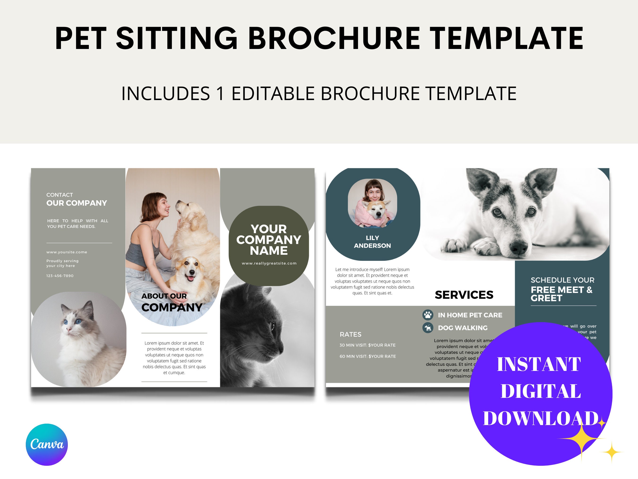 Pet Sitting Flyer