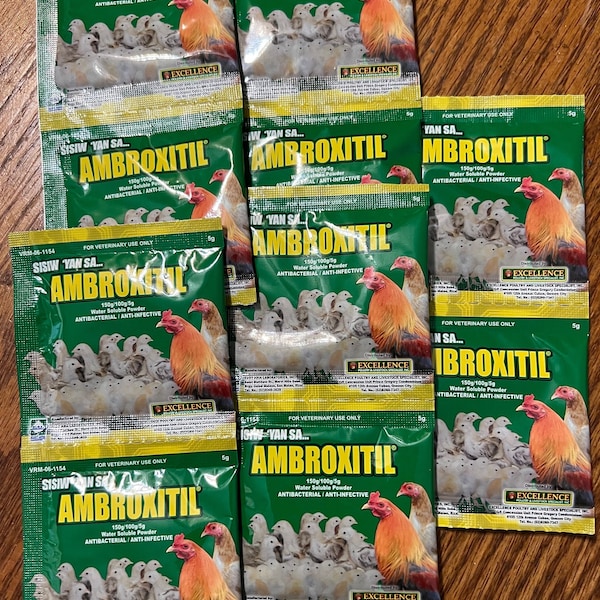 Chicken Antibiotic - Etsy