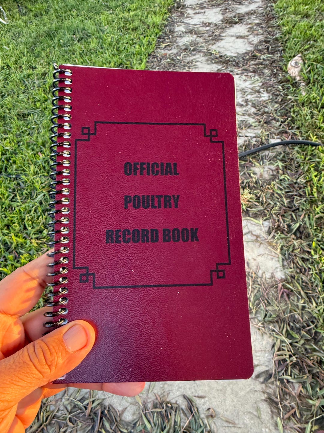 Official Poultry Record Book - Etsy