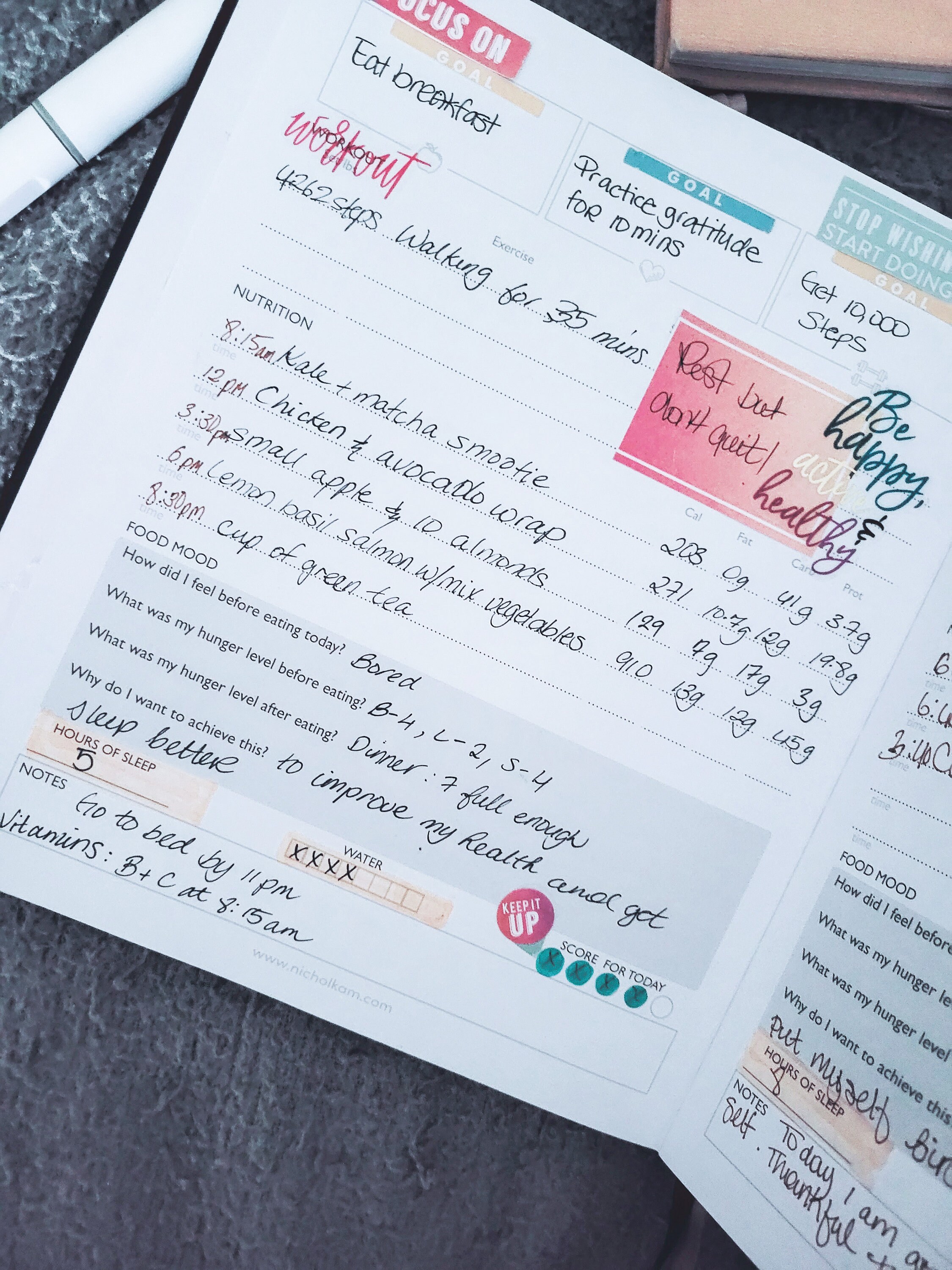 Comprehensive Fitness & Nutrition Planner: Weekly/monthly Wellness ...