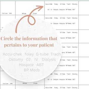 10 Patient Nursing Report Sheet LTC - Etsy