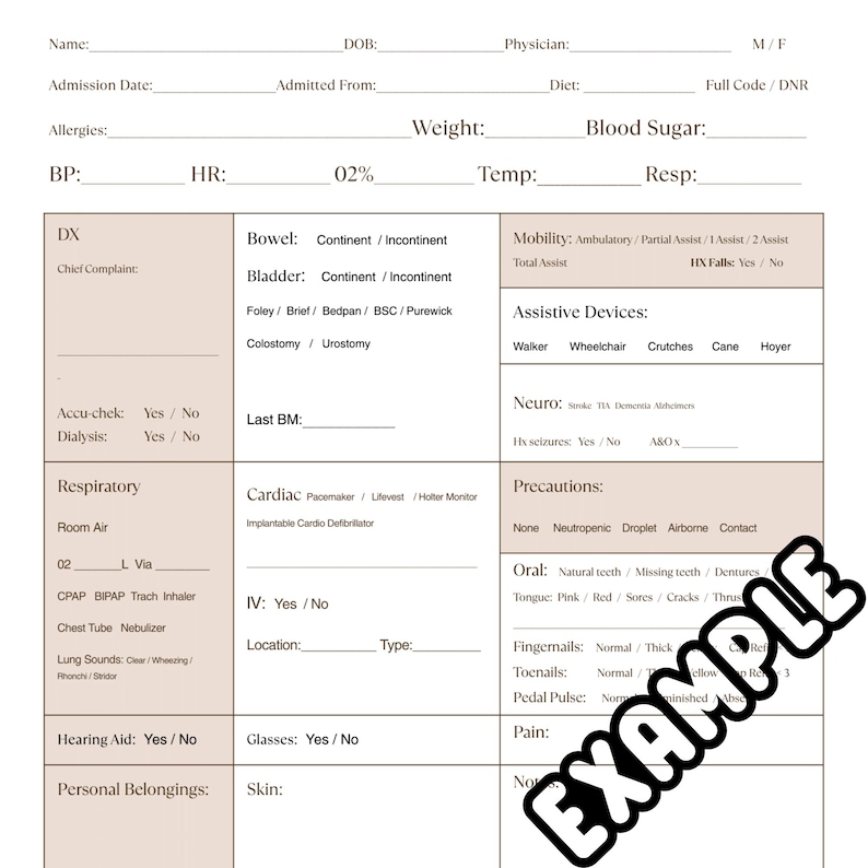 Nurse Admission Assessment Form: LTC, SNF Report (digital Download) - Etsy