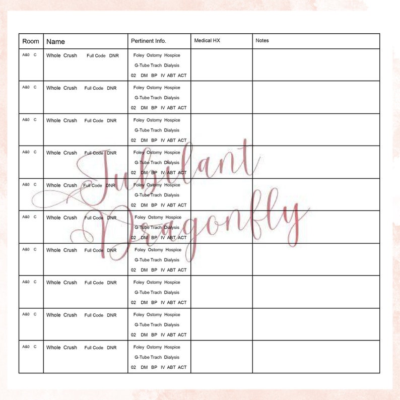 Nursing Report Sheet LTC - Etsy