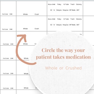 10 Patient Nursing Report Sheet LTC - Etsy