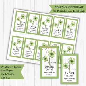 St. Patrick’s Day Lucky Charm Gift Tag|shamrock Favor Tag|irish Holiday ...