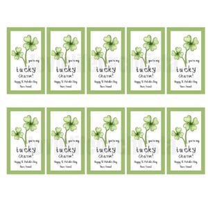 St. Patrick’s Day Lucky Charm Gift Tag|shamrock Favor Tag|irish Holiday ...