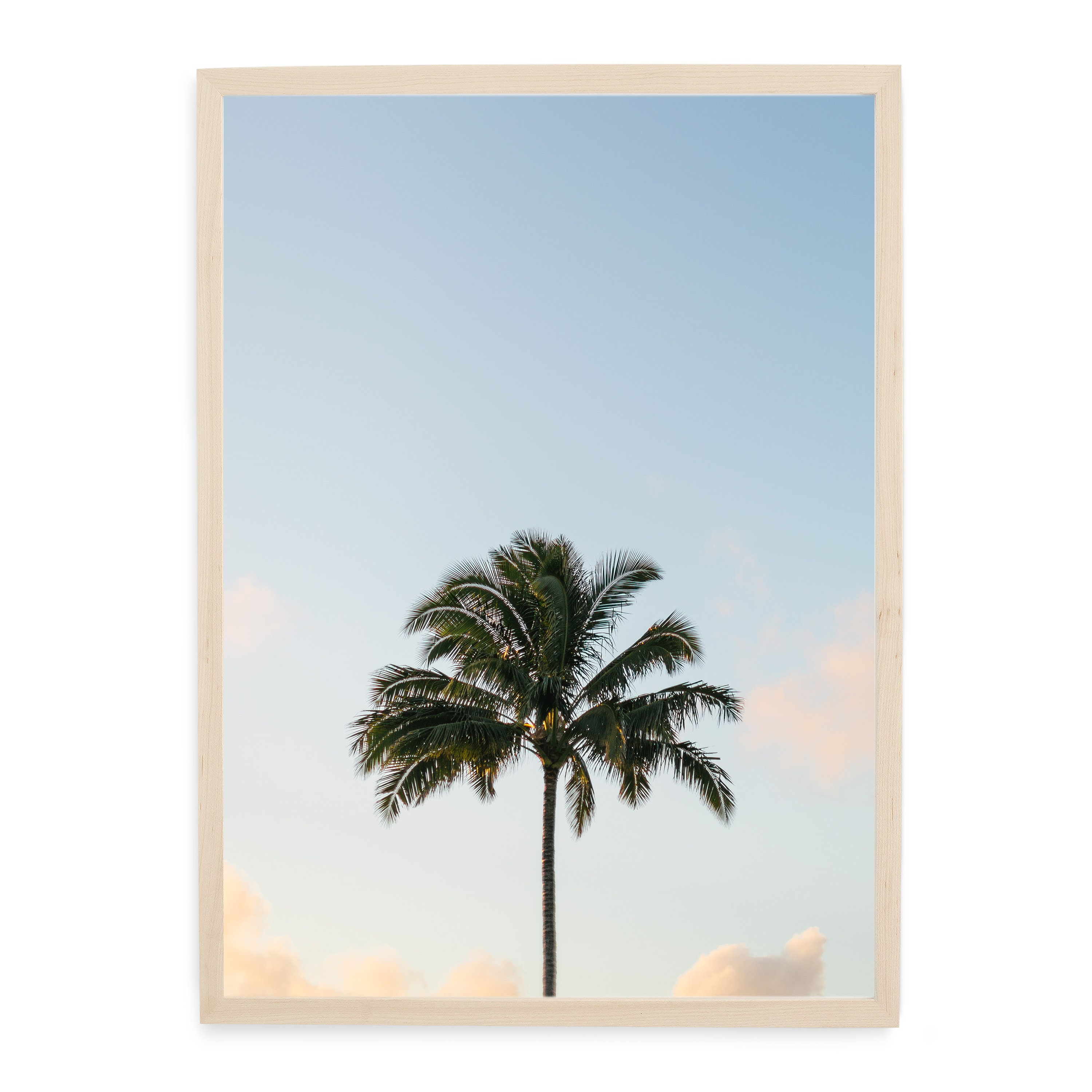 PALM TREE Print: Living Room Art Print, Large Wall Art, Tropical Wall ...