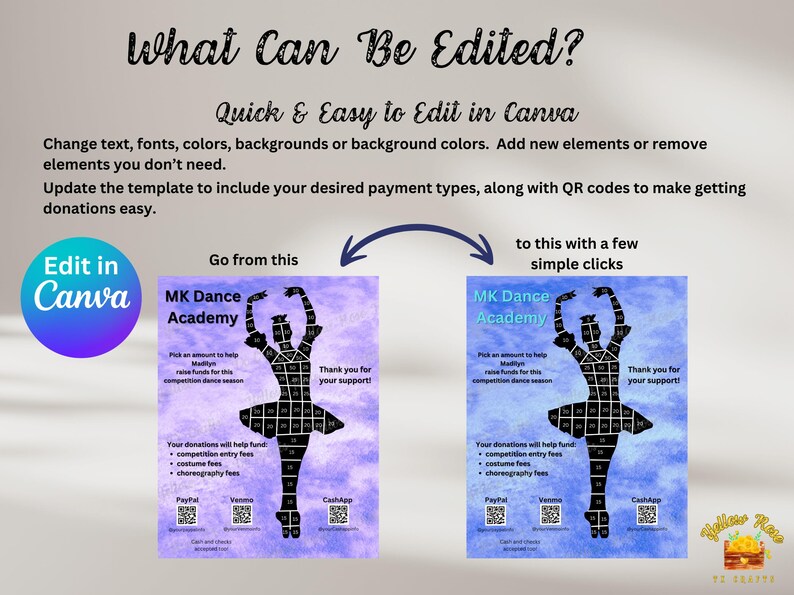 Help My Ballet Dancer Fundraiser - Help My Ballet Dancer Fundraiser ...