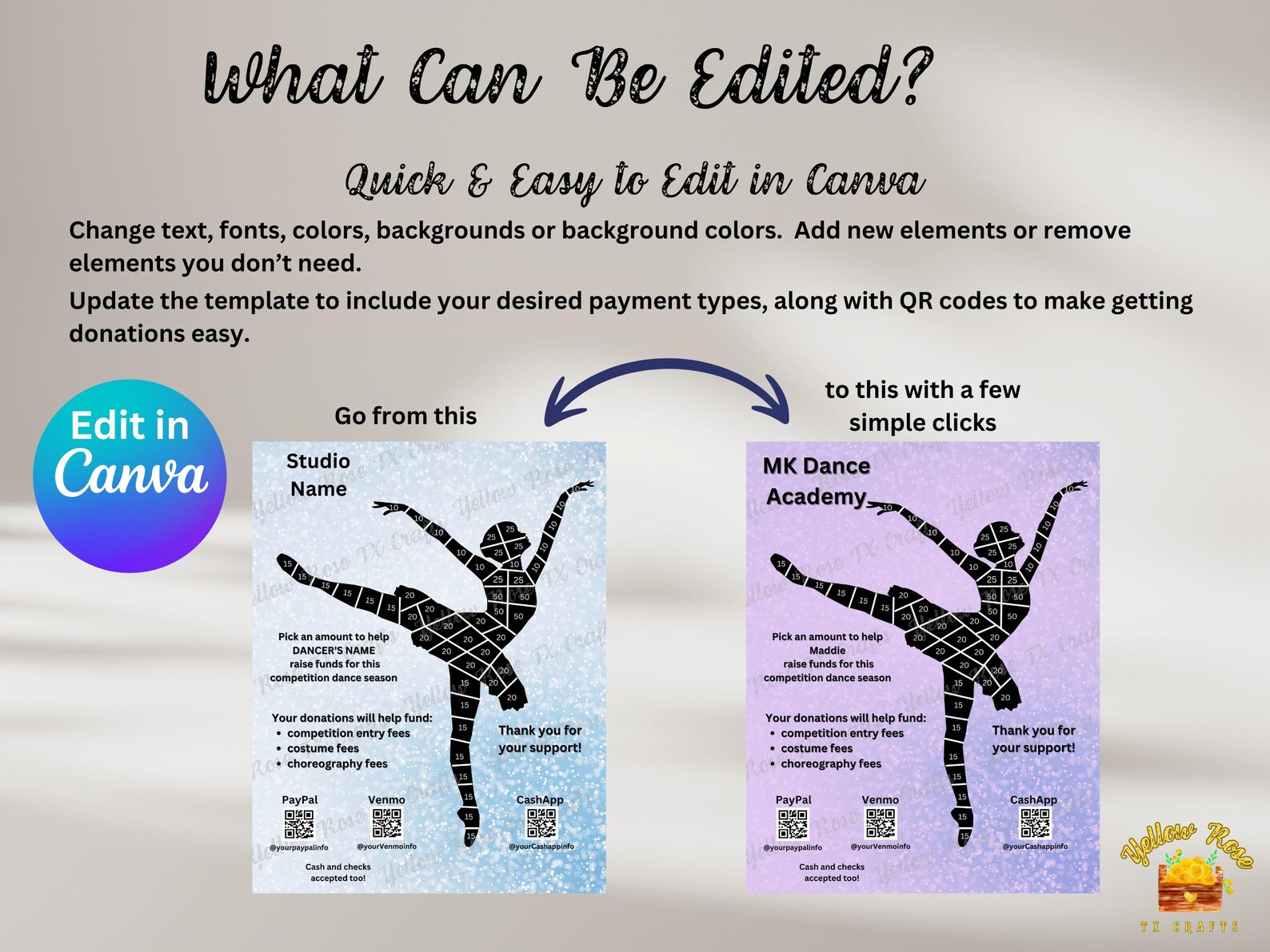 Help My Ballet Dancer Fundraiser - Help My Ballet Dancer Fundraiser ...