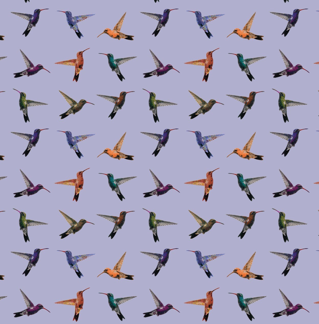 Hummingbirds Bikini, Vibrant Bird Print Bikini, Purple High Waisted ...