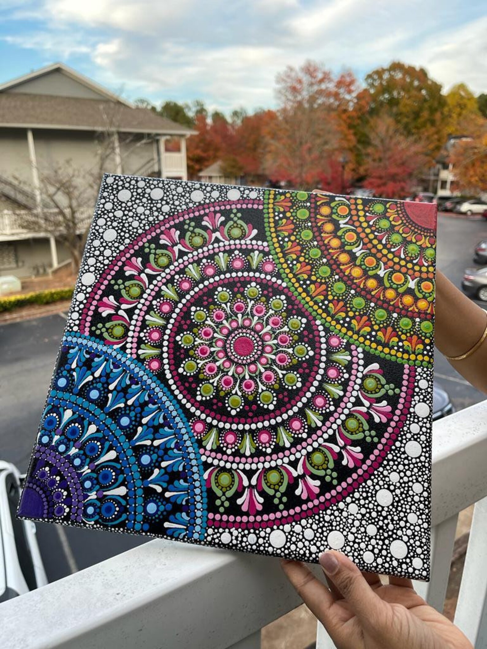 12 Hand-painted Stretch Canvas Wall Hanging Mandala Dot Art Rainbow ...