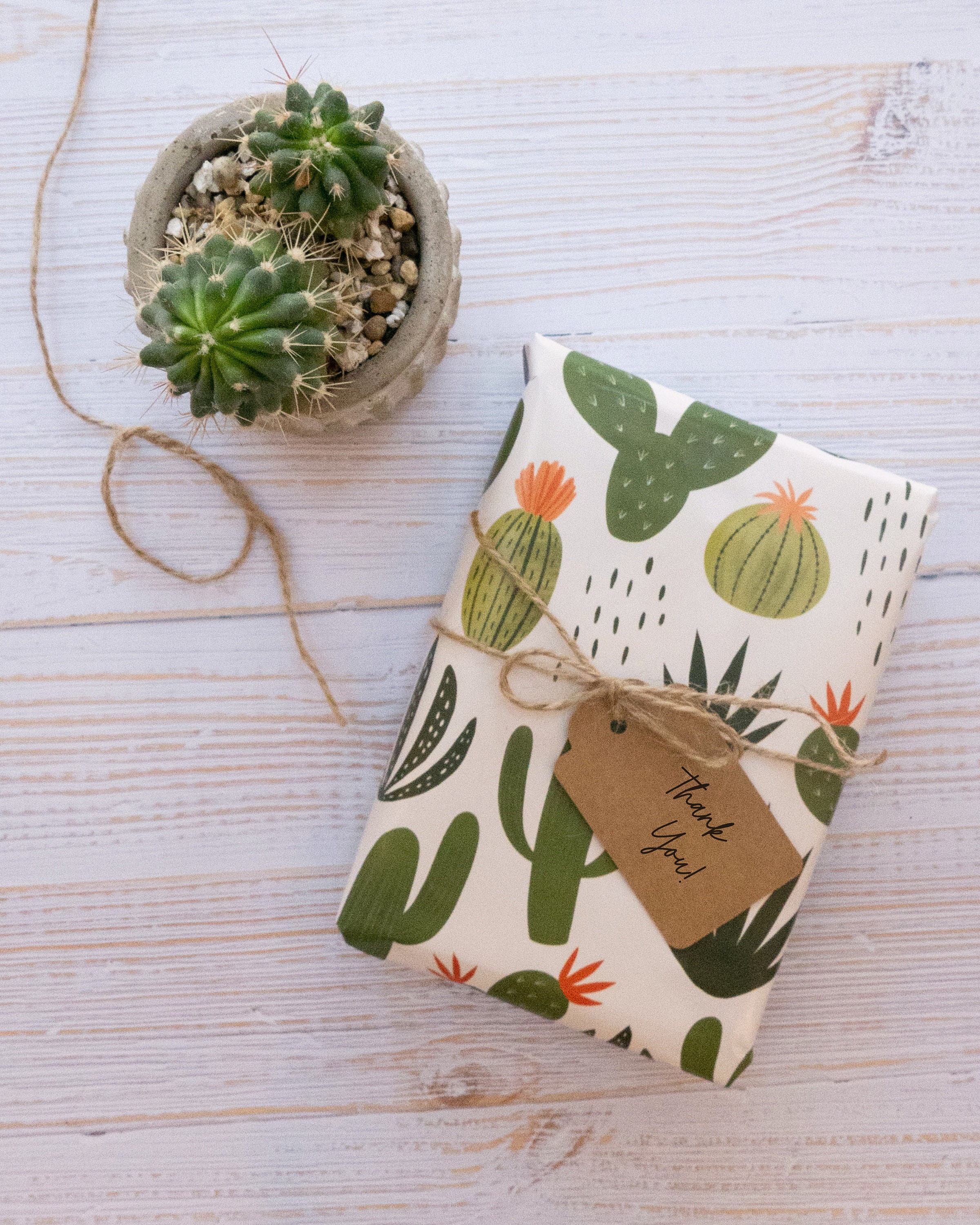 Cactus Plants Eco Gift Wrap Premium Eco Friendly Wrapping Paper ...