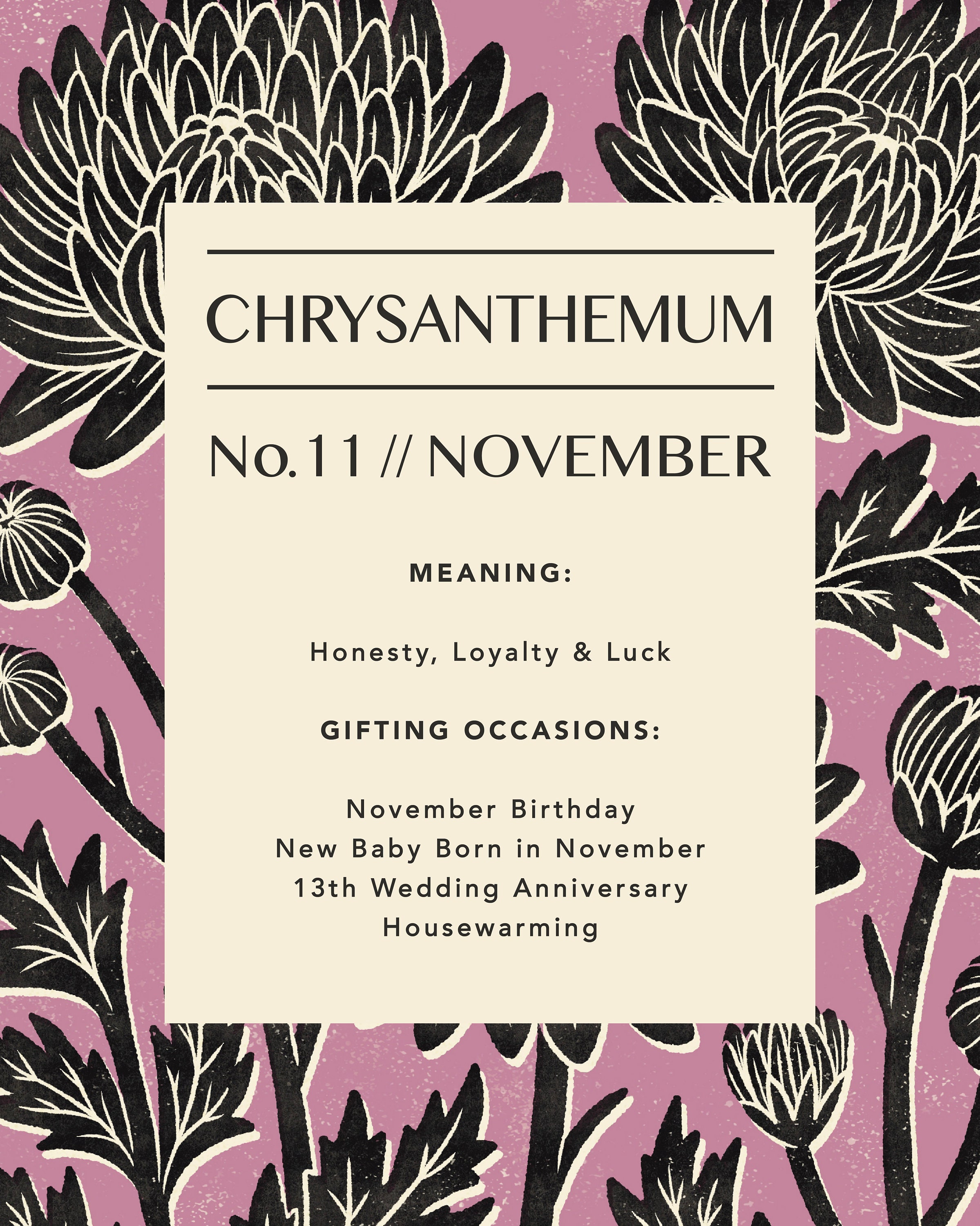 CHRYSANTHEMUM November Birth Flower Art Print | Vintage Boho Floral ...
