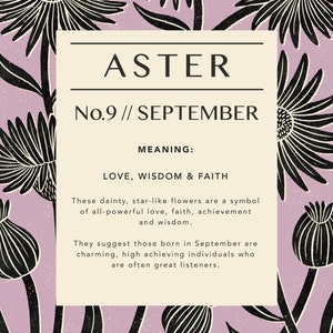 Aster September Birth Flower Greeting Card | Botanical Birthday, New ...