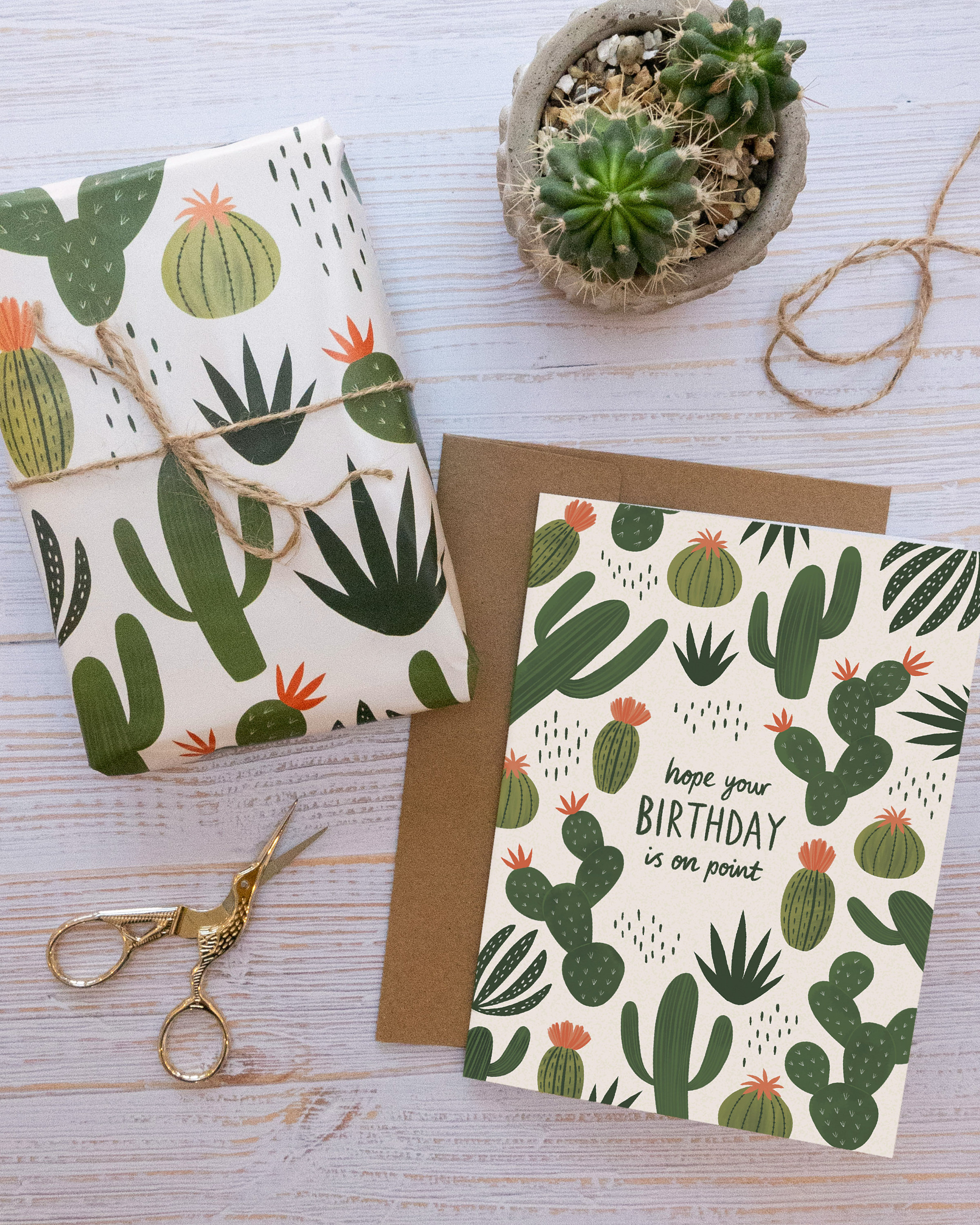 Cactus Plants Eco Gift Wrap Premium Eco Friendly Wrapping Paper ...