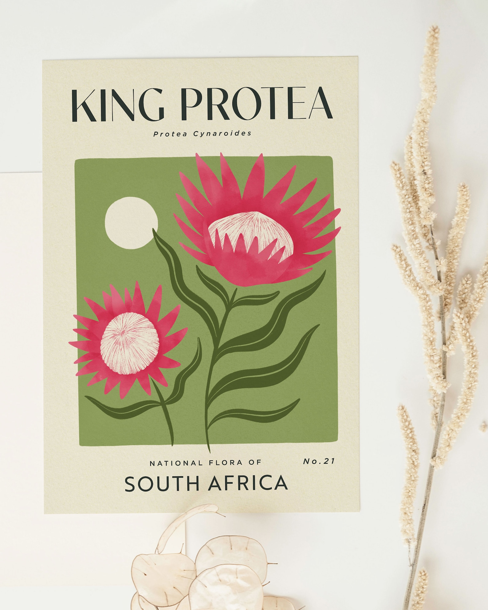 KING PROTEA Retro Art Print | Vintage Floral Home Décor | Boho Flower ...