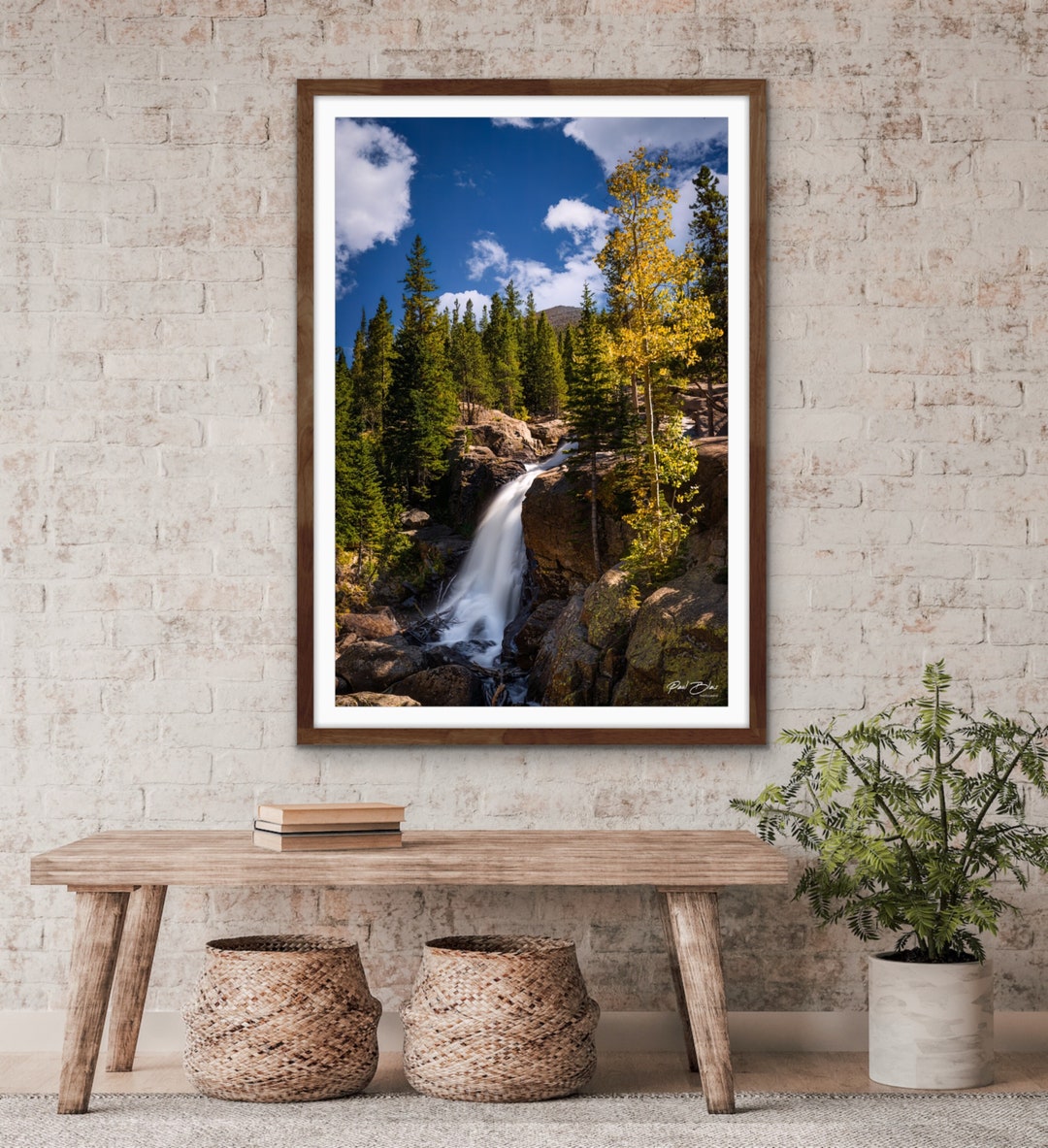 Rocky Mountain National Park Waterfall Print | Alberta Falls Gold Aspen ...