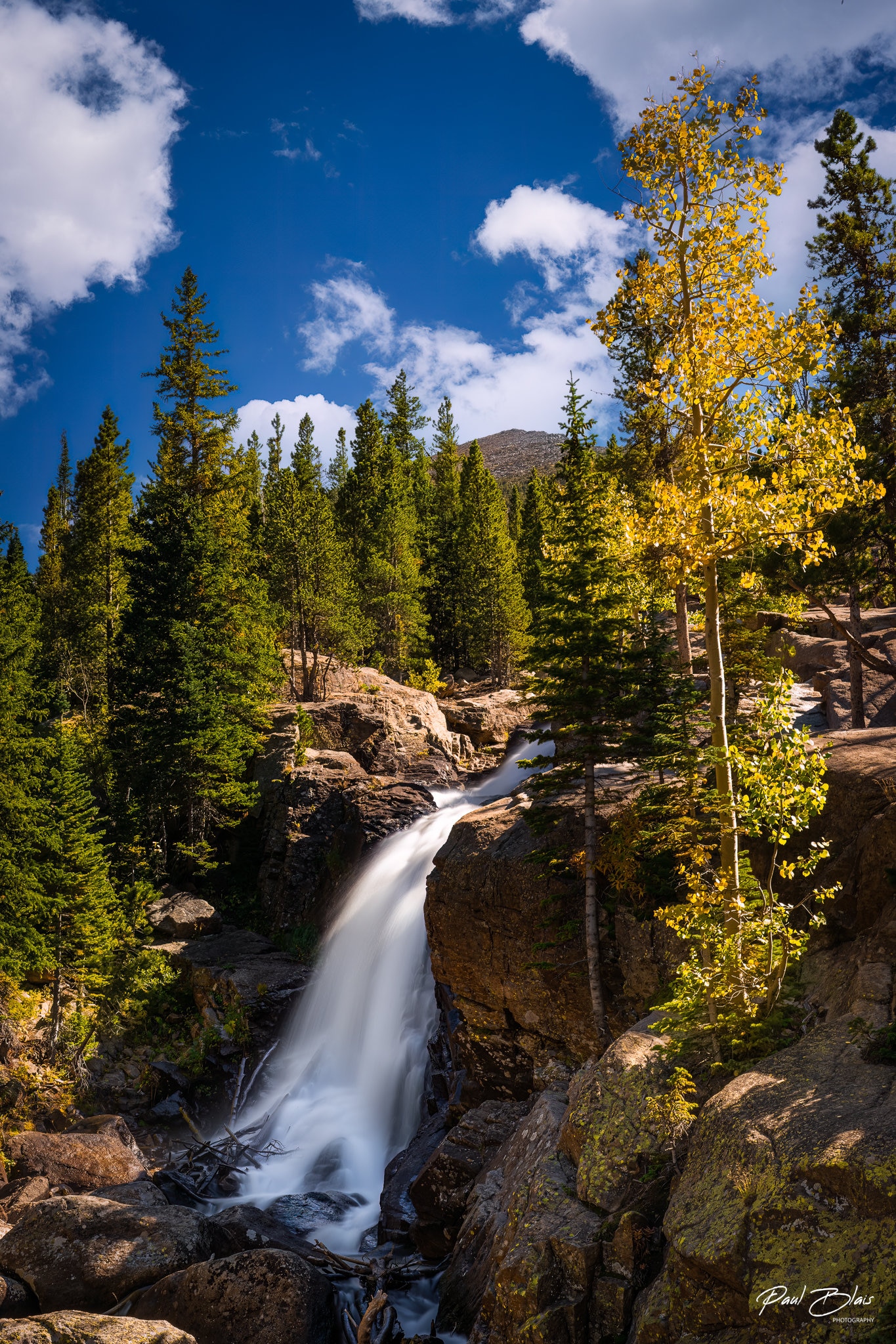 Rocky Mountain National Park Waterfall Print | Alberta Falls Gold Aspen ...