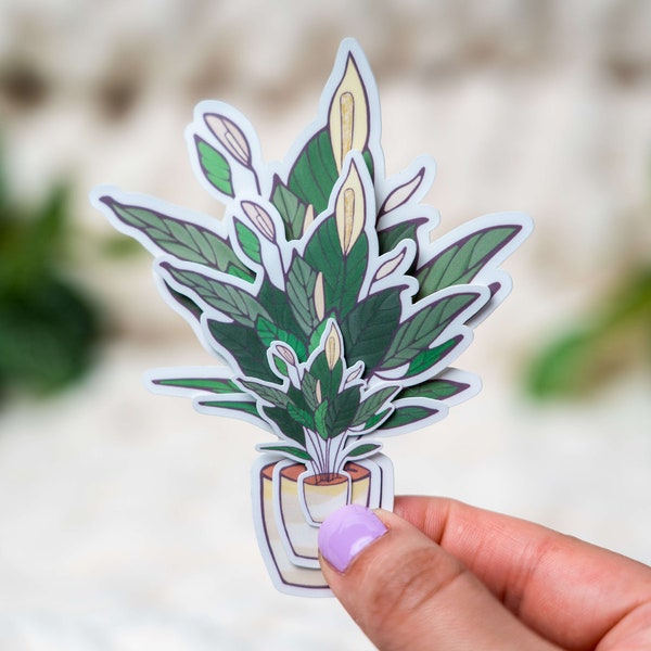 Peace Lily Plant - Etsy