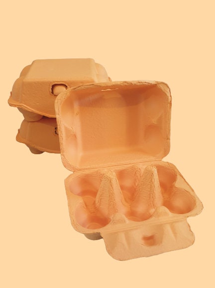 Coloured Egg Cartons Perfect for Easter - Etsy Australia