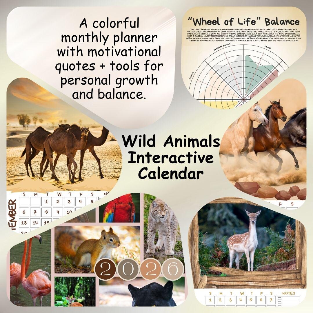 Digital Printable Bundle | 4 Calendars 2026 | Interactive Planners ...