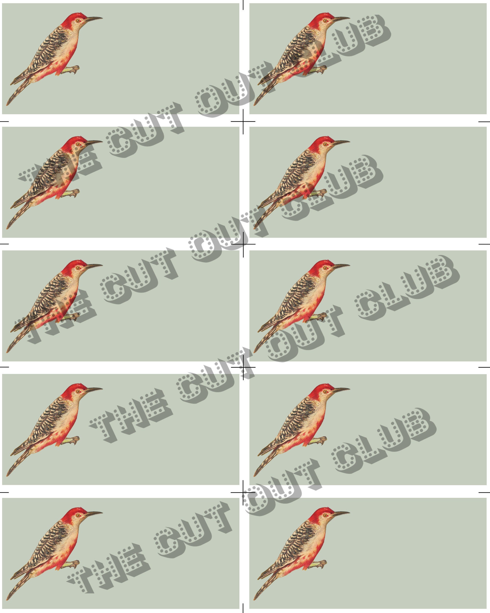 Vintage Bird Return Address Labels. Printable Digital Download. Mail ...