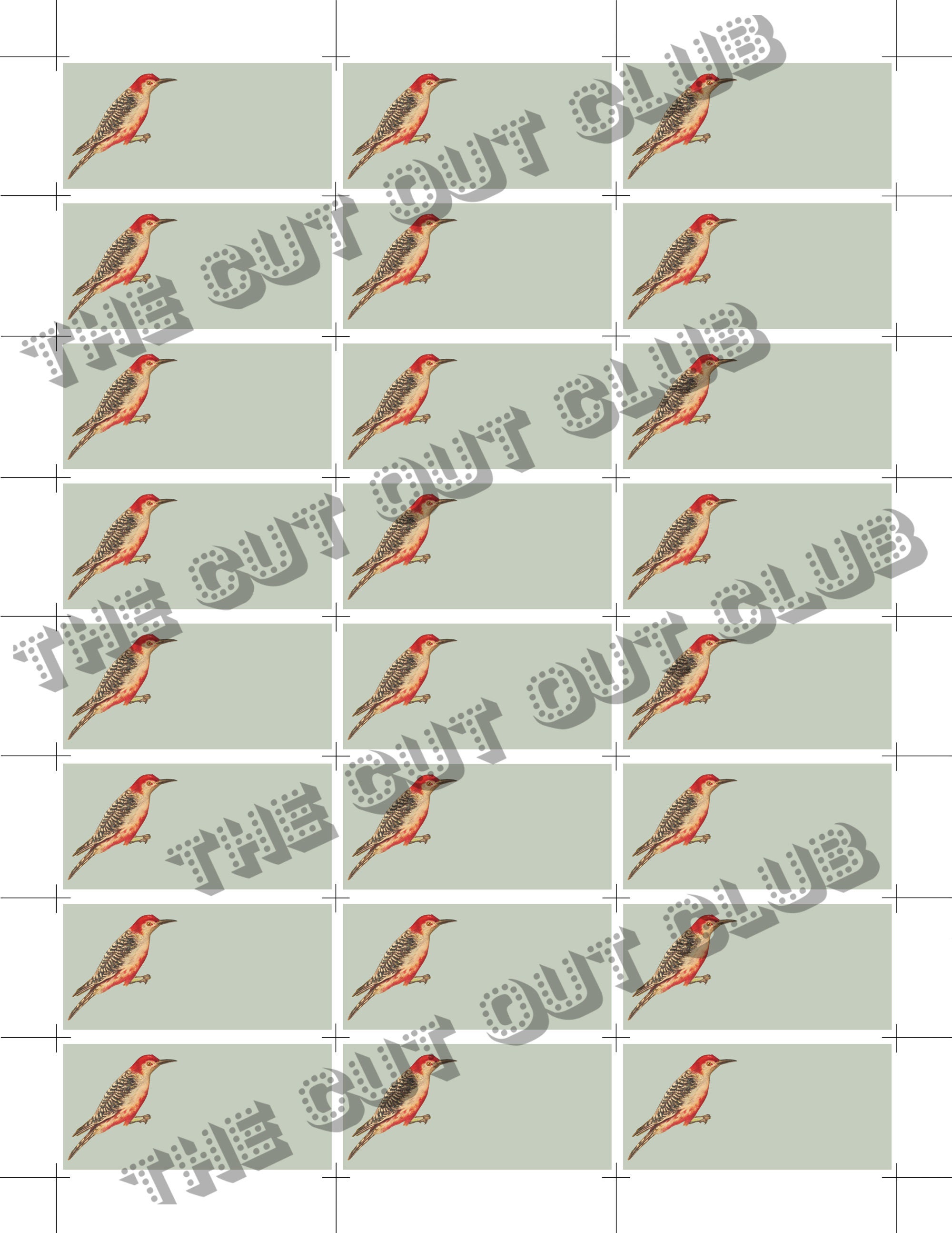 Vintage Bird Return Address Labels. Printable Digital Download. Mail ...