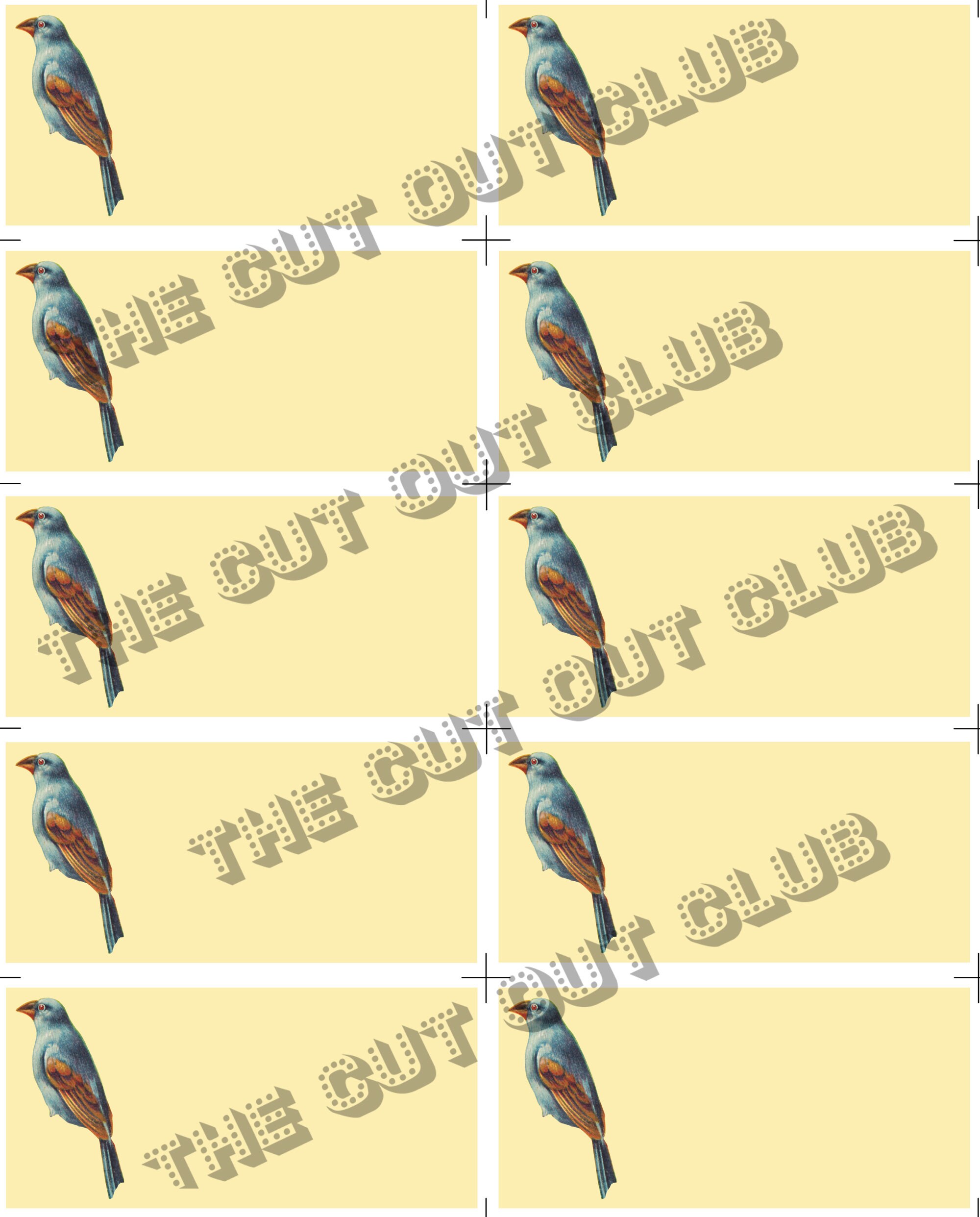 Vintage Bird Return Address Labels. Printable Digital Download. Mail ...