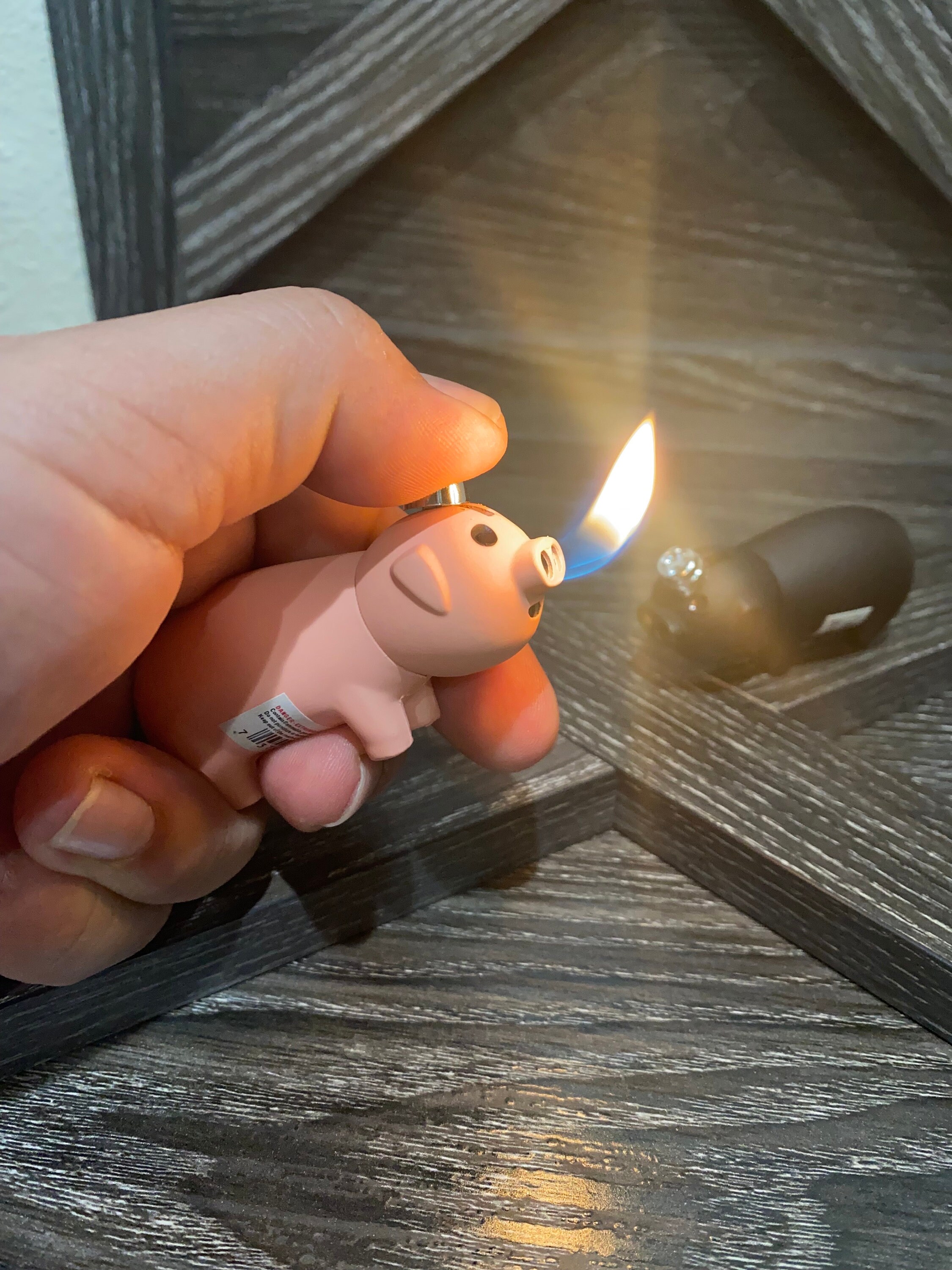 Pig Lighter Dual Light Refillable Torch Flame Cigarette - Etsy