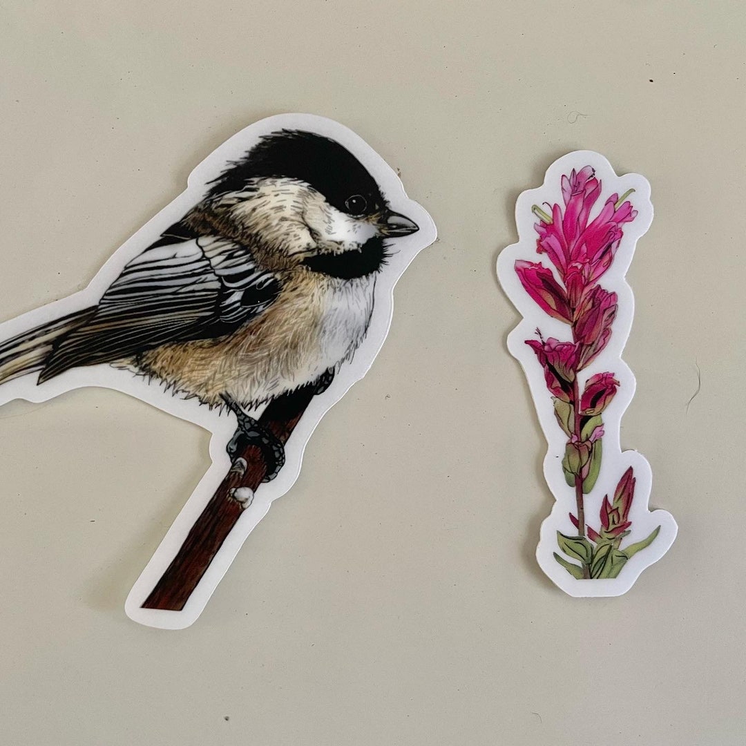 Chickadee and Indian Paintbrush Stickers - Etsy