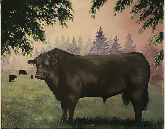 Black Angus Bull lots of Bull 16x20 Acrylic | Etsy