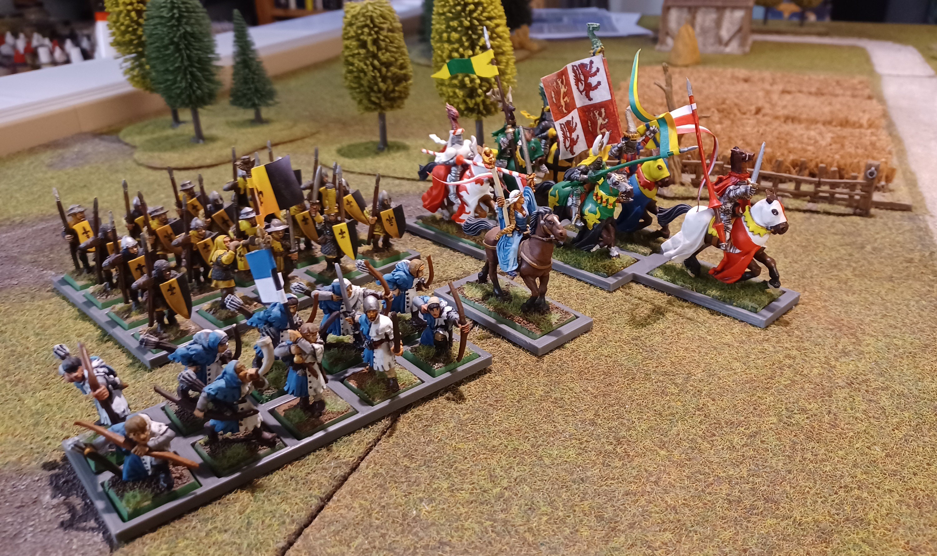 Warhammer the Old World Regimental Bases 20 to 25, 25 to 30 and 25X50 ...