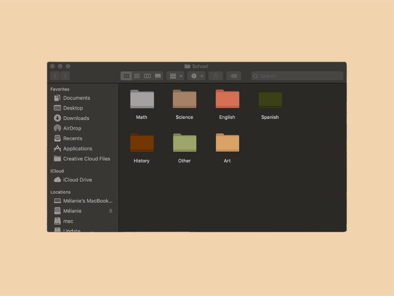 Boho Desktop Folder Icons , Mac OS Windows Folder Icon, Neutral Tone ...