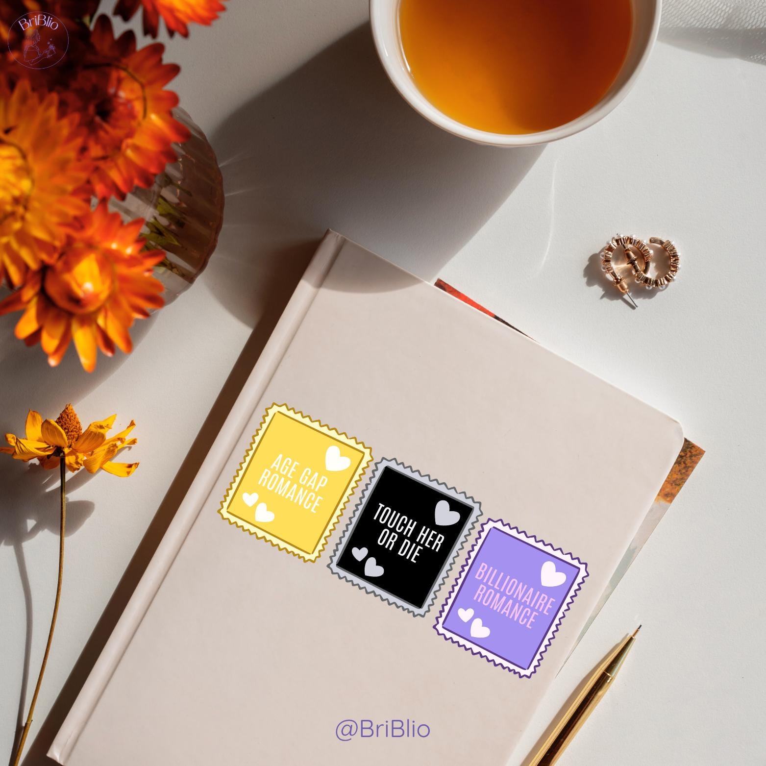 Cute Book Trope Stamp Stickers PNG SVG Enemies to Lovers One Bed Slow ...