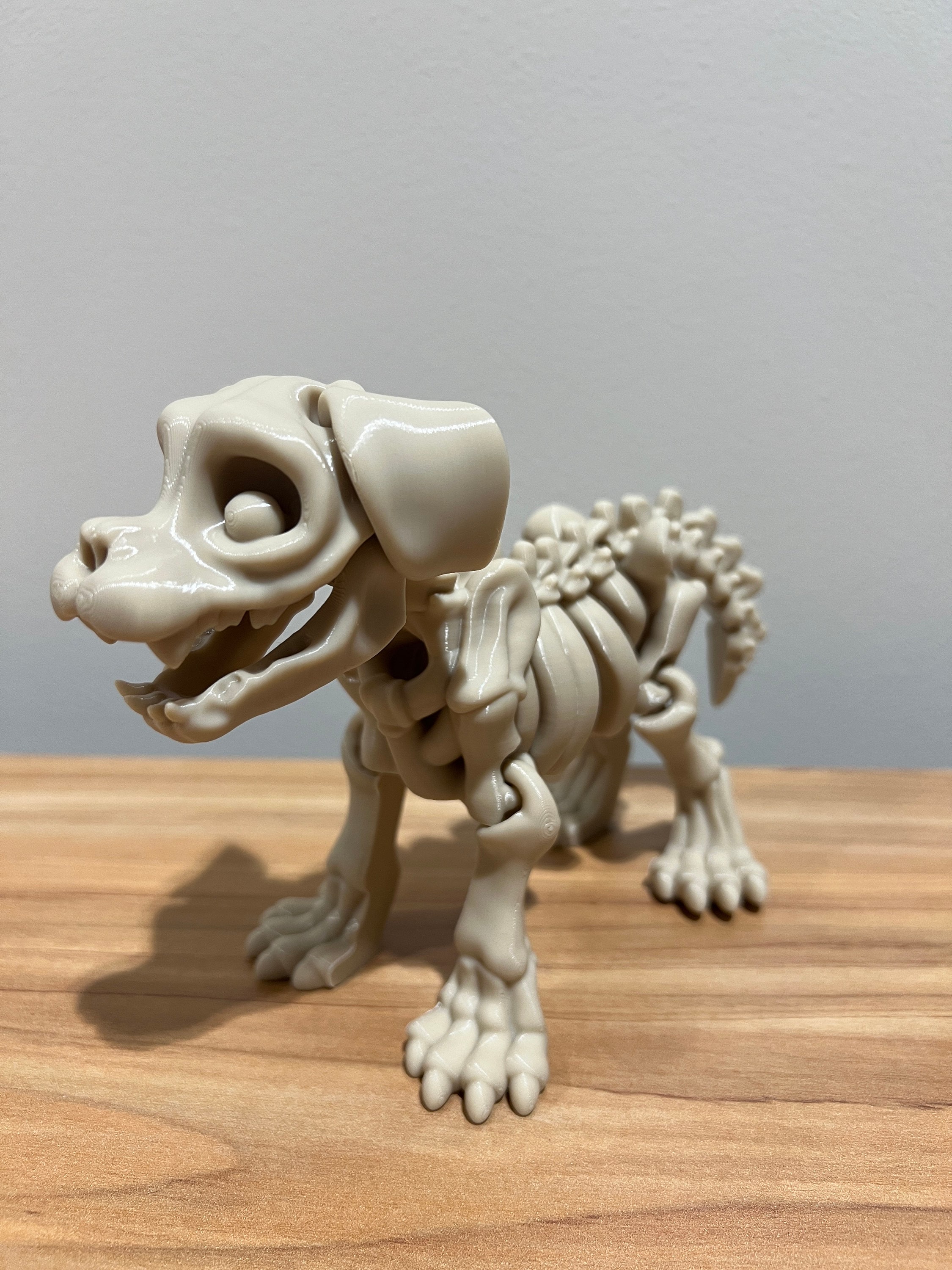 Large 3D Printed Articulated Skeleton Dog 7” Long - Etsy