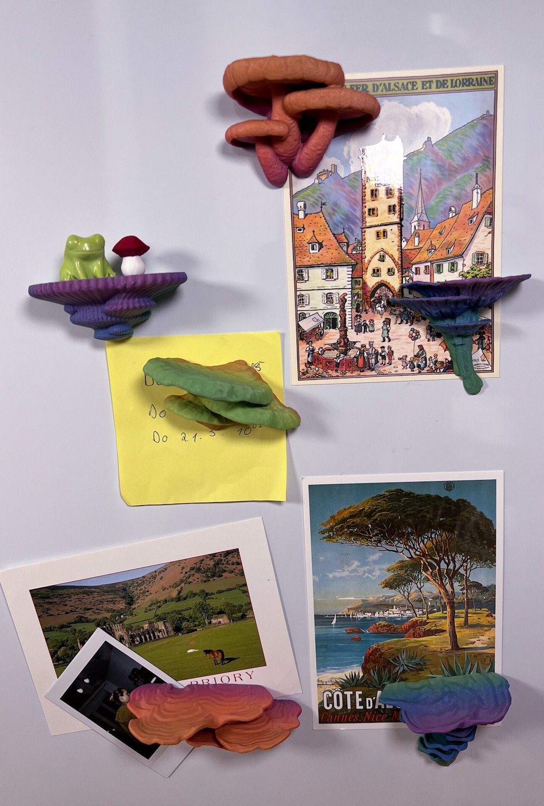 Decorative Fridge Magnet Set Mushroom Magnets Gift Magnets as ...