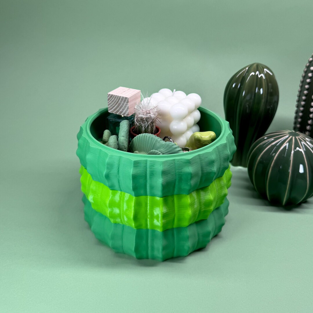 Cactus Decorative Bowl Stackable Bowls for Your Small Accessories in ...