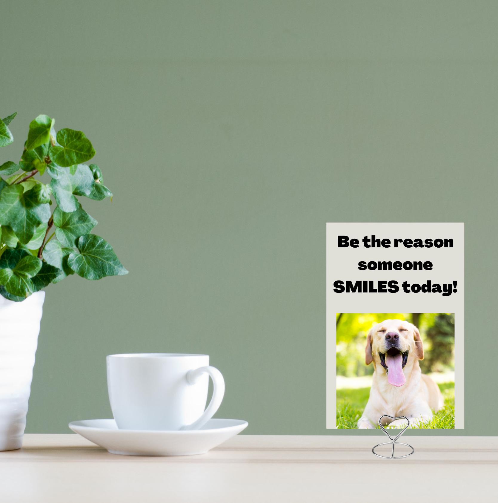 Positive Affirmation Cards for Cat Lovers, Cat Themed Mental Health ...