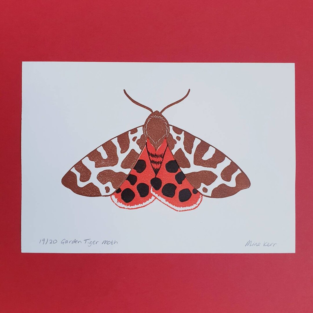 Garden Tiger Moth Linocut Print Original Tiger Moth Linocut Handprinted ...