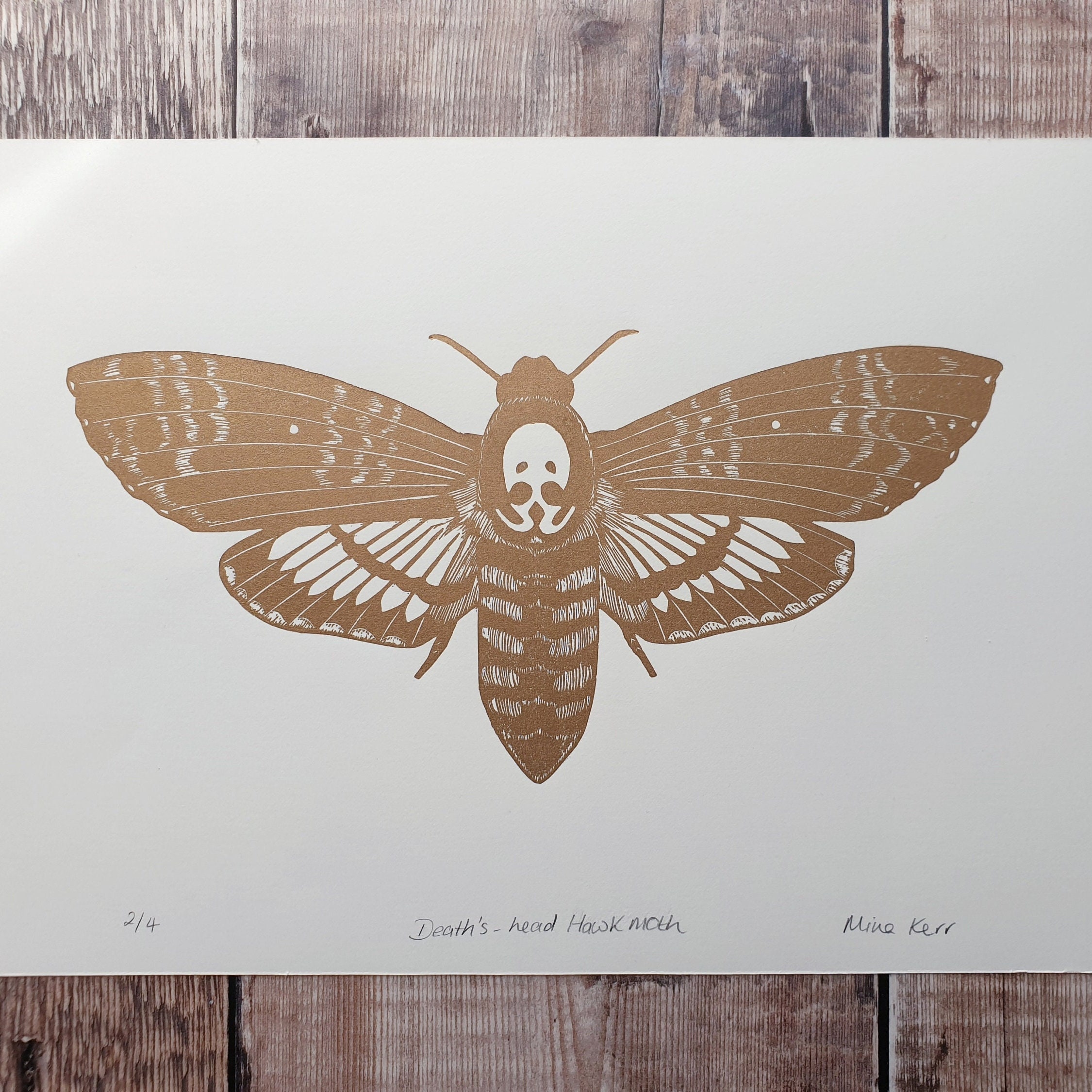 Death's Head Hawkmoth Linocut Gift for a Moth Lover Death's Head Moth ...